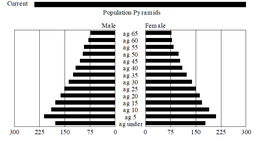 Population Pyramids